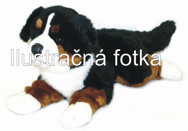 Plemená psov :: Psikpsicek